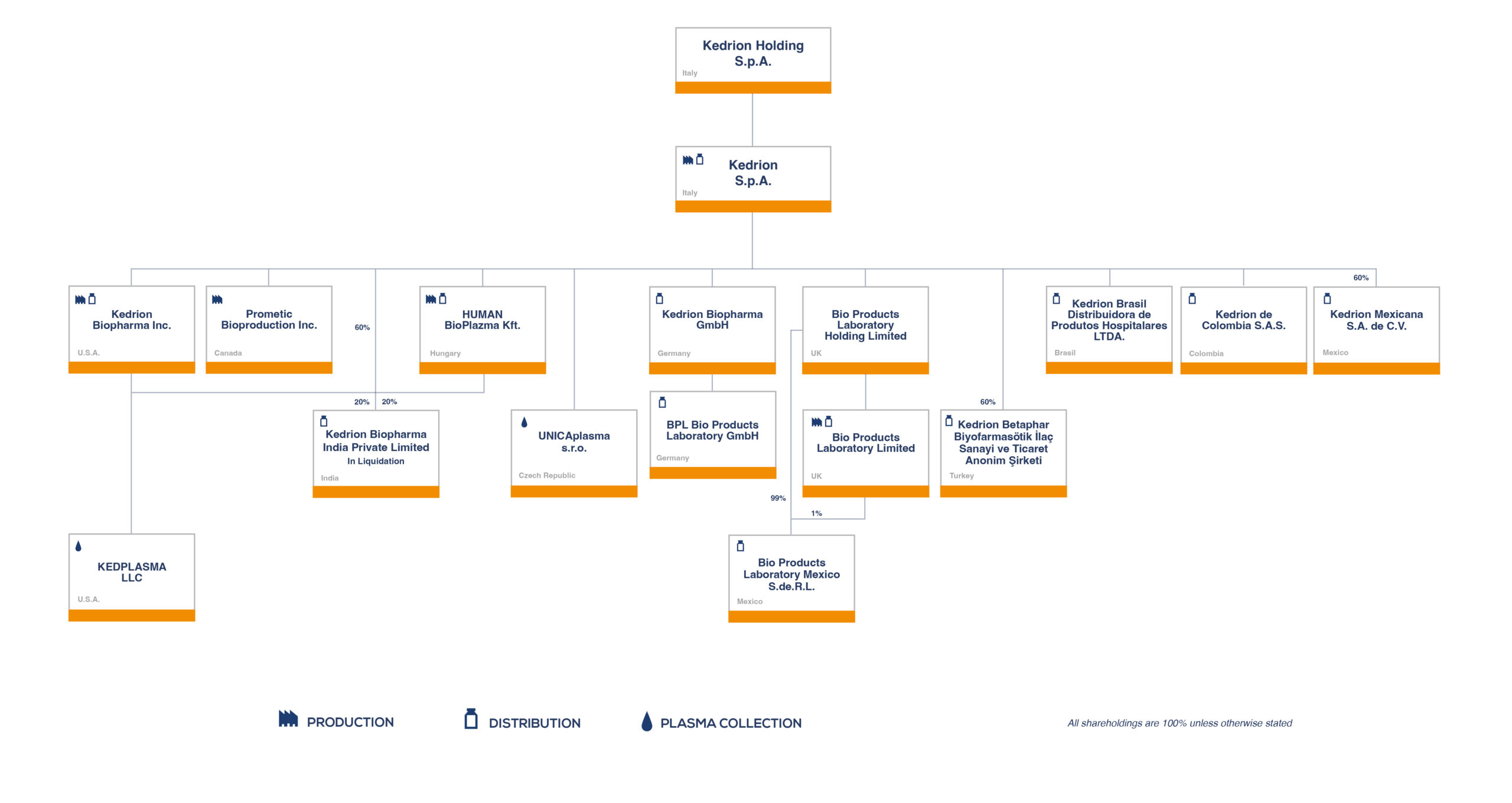 Corporate Structure - kedrion.us